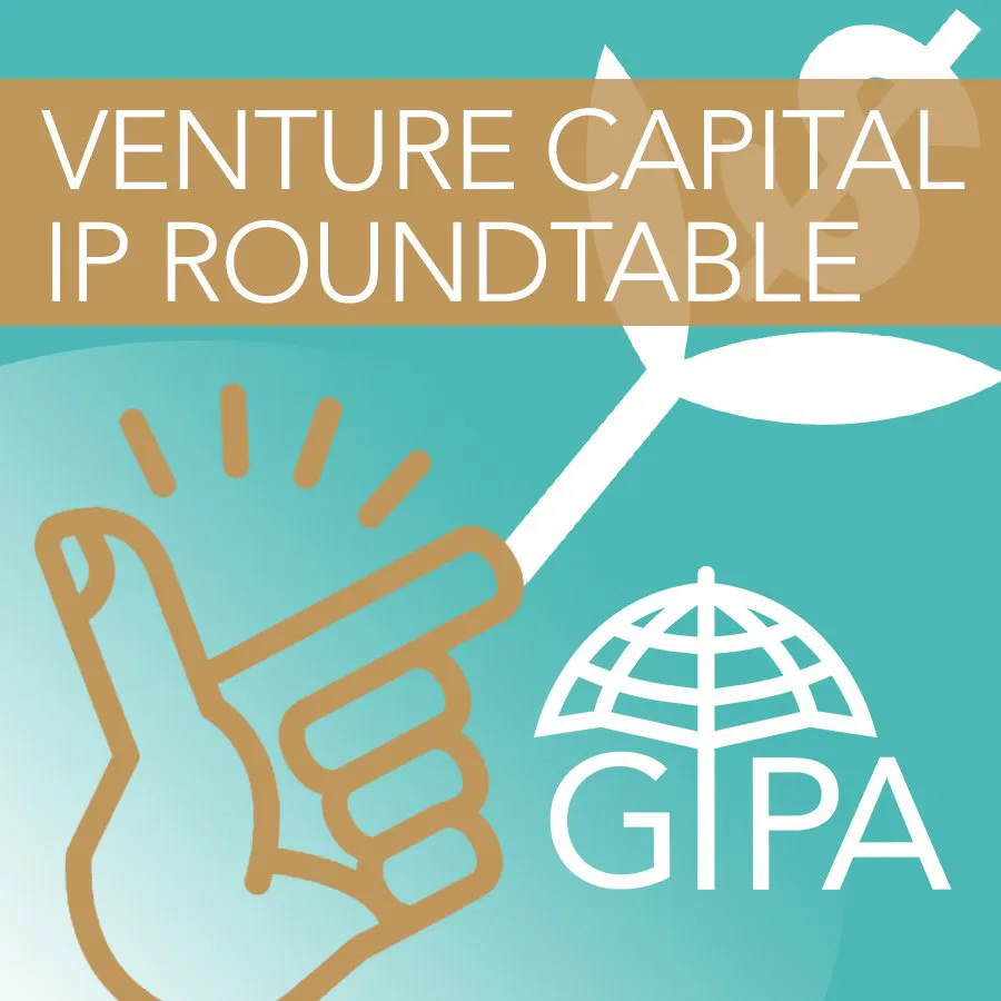 Venture Capital IP Roundtable